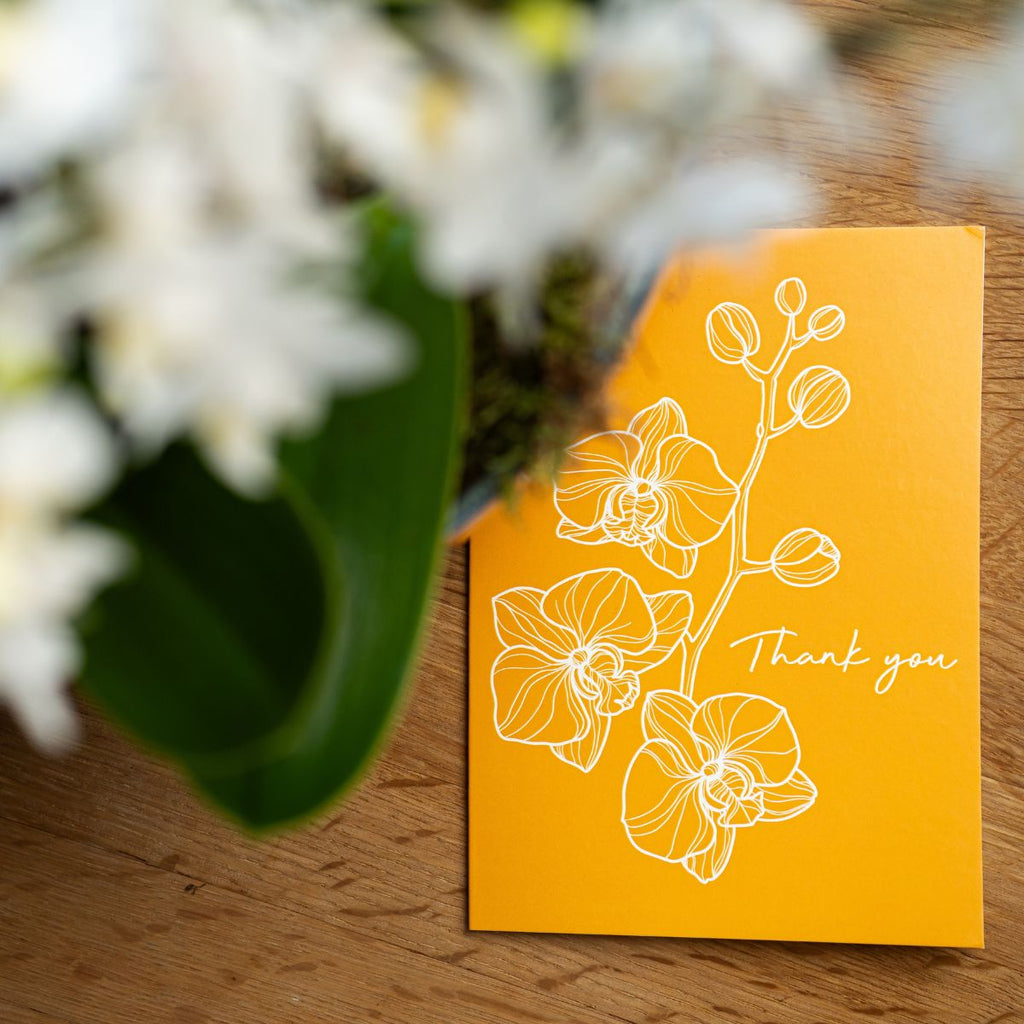 Mini Orchids – Love Orchids