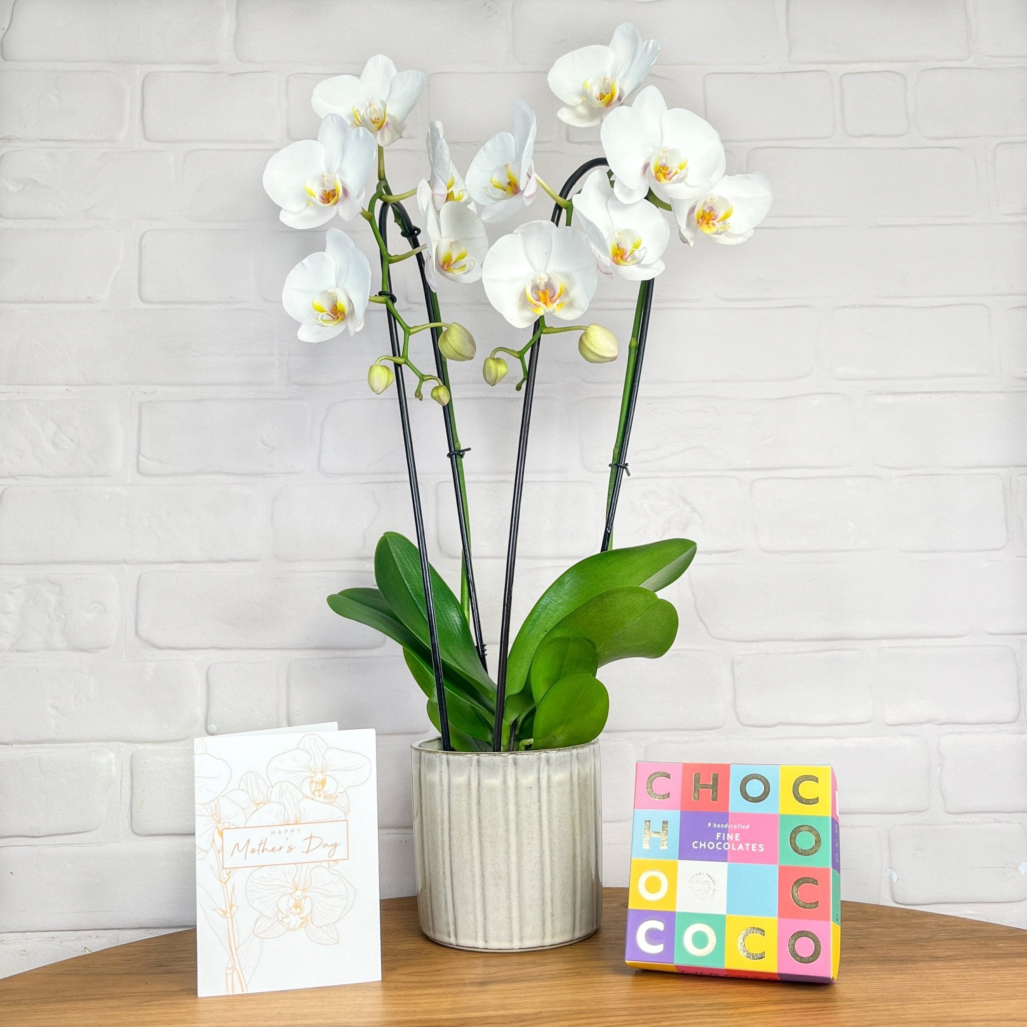 Orchid Potting Mix – Love Orchids